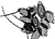 chrysophytes